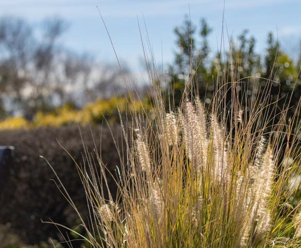 Adventurous by Nature - The Preserve at Chino