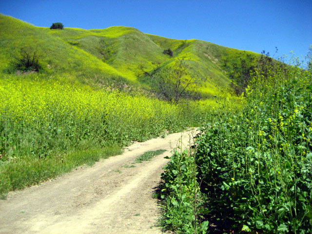 Ready…Set…Explore! - The Preserve at Chino